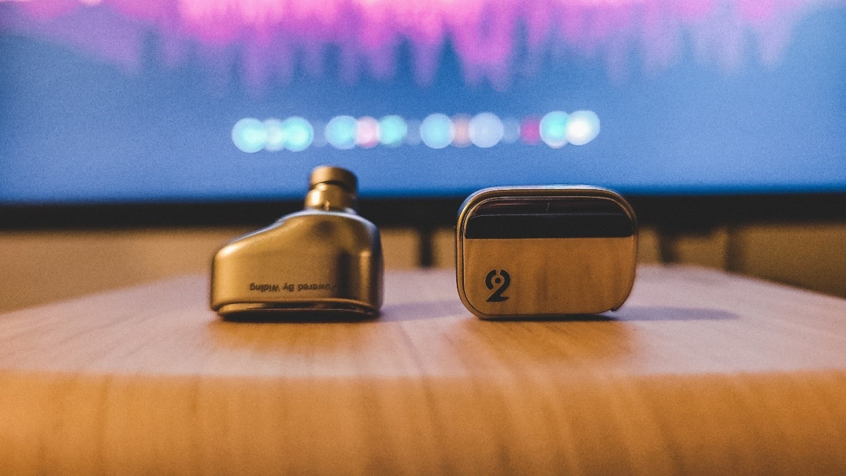 Sonic Memory SM2 - Wild Memories - AudioMonsta